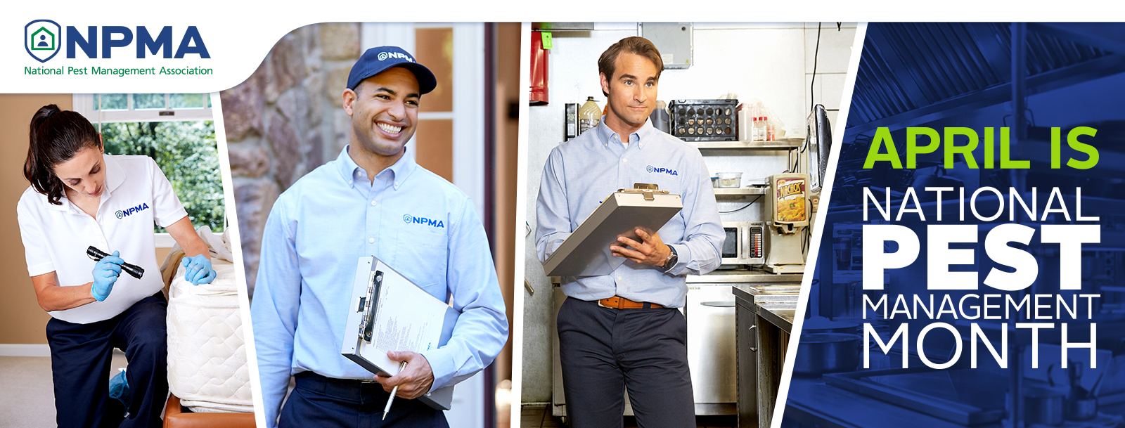 Take Steps to Prevent Pests During National Pest Management Month ...